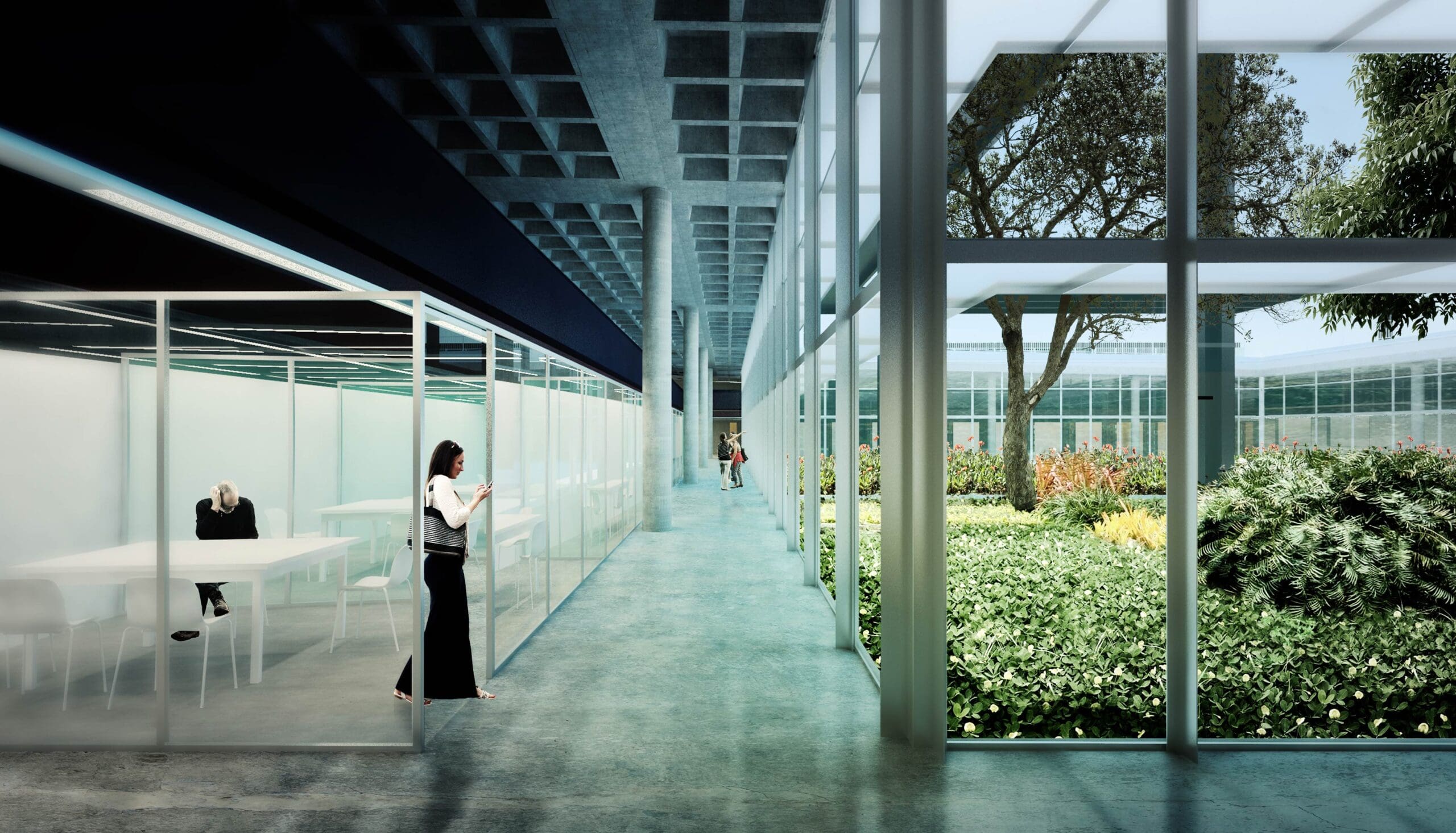 biblioteca ita – MMBB